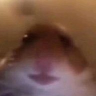 Иконка канала Ribron