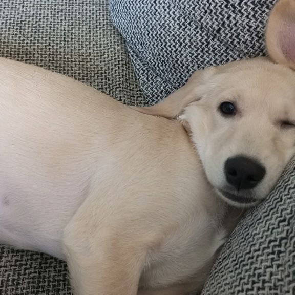 Иконка канала БелыйДемон