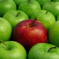 Иконка канала Технологии упаковки