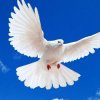 Иконка канала channel24175216
