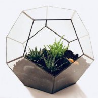 Иконка канала Наши растения