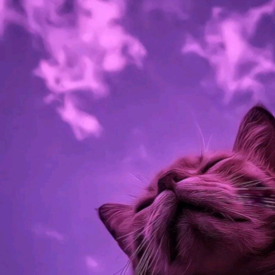 Иконка канала 🤍Юлианна 🤍