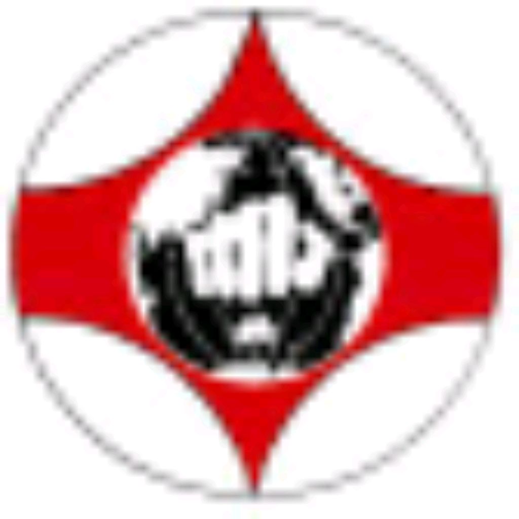 Иконка канала Denis Kyokushin