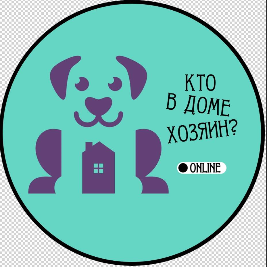 Иконка канала «Кто в доме хозяин? ONLINE»