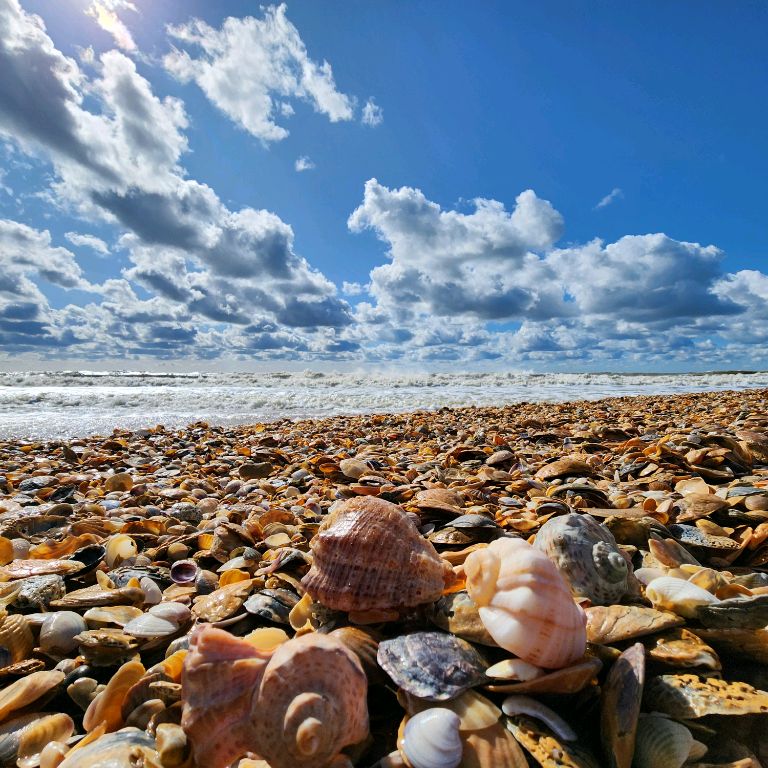 Иконка канала Источник❤️Света