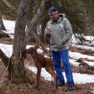 Иконка канала aysinse