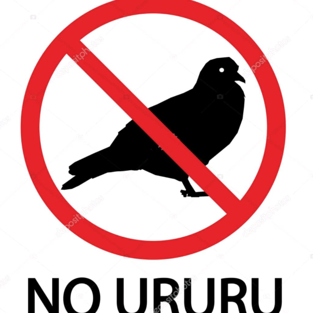 Иконка канала NoURURU+