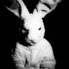 Иконка канала Unforgiven_RaBBit