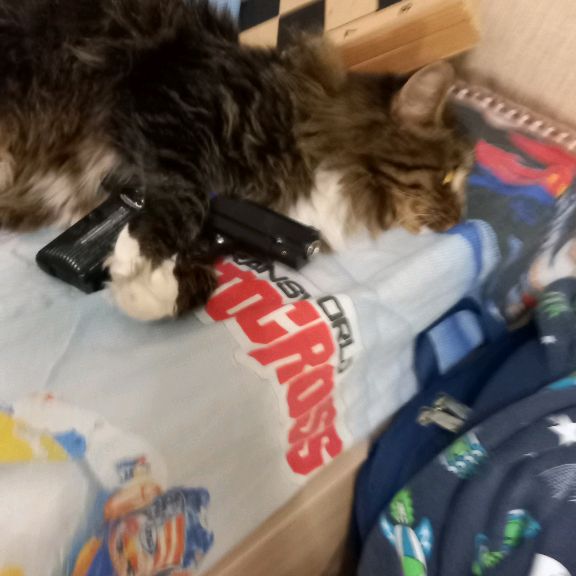 Иконка канала Кот с пистолетом