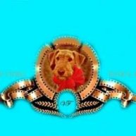 Иконка канала Videofotka.ru