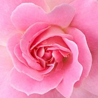 Иконка канала Позитив для души и поздравления