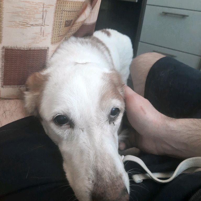 Иконка канала Алексей Б5