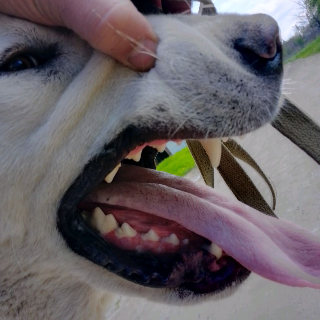 Иконка канала Кимм Кристал ?