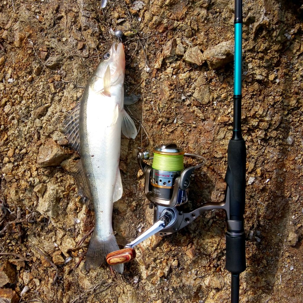 Иконка канала Алекс Рыбак !