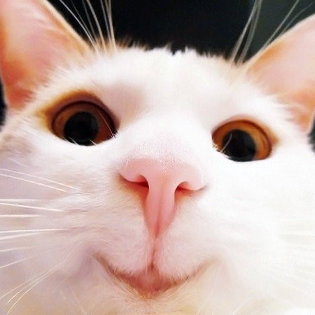 Иконка канала Victork49