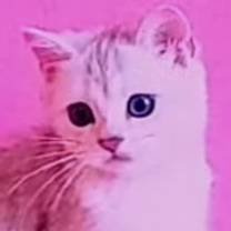 Иконка канала снежинка и Соня???