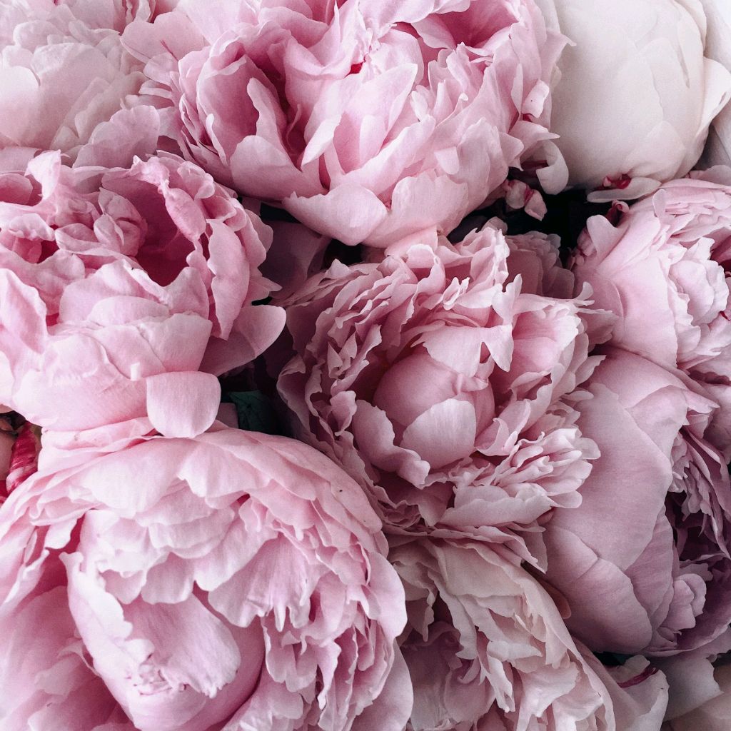 Иконка канала Uljana