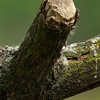 Иконка канала Еремѣй Народный