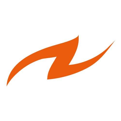 Иконка канала 1С-Рарус Тиражные решения