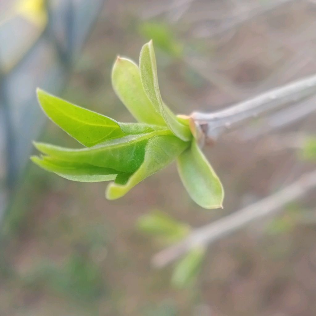 Иконка канала Темная сторона луны