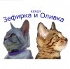 Иконка канала Зефирка и Оливка