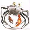 Иконка канала Crabby
