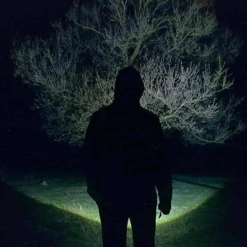 Иконка канала Wild