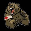 Иконка канала DrSiberia