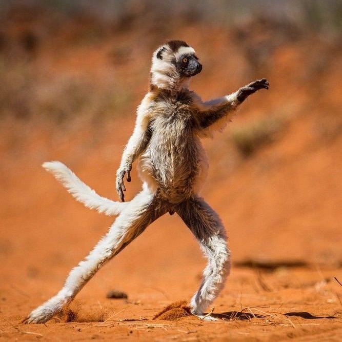 Иконка канала Союз Смеха