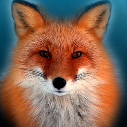 Иконка канала Aleksandr Liss