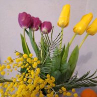 Иконка канала Антонина Дор