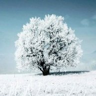 Иконка канала Novaya Zemlya