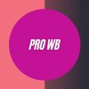Иконка канала Денис Шарафутдинов ProWB