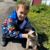 Иконка канала Добрикчела