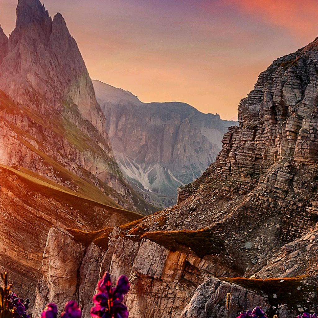 Иконка канала Паша Пэл