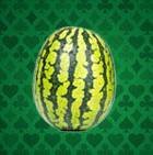 Иконка канала Выездное фан казино ARBUZINO