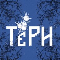 Иконка канала Фолк-рок группа ТЁРН