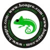Иконка канала hoagro