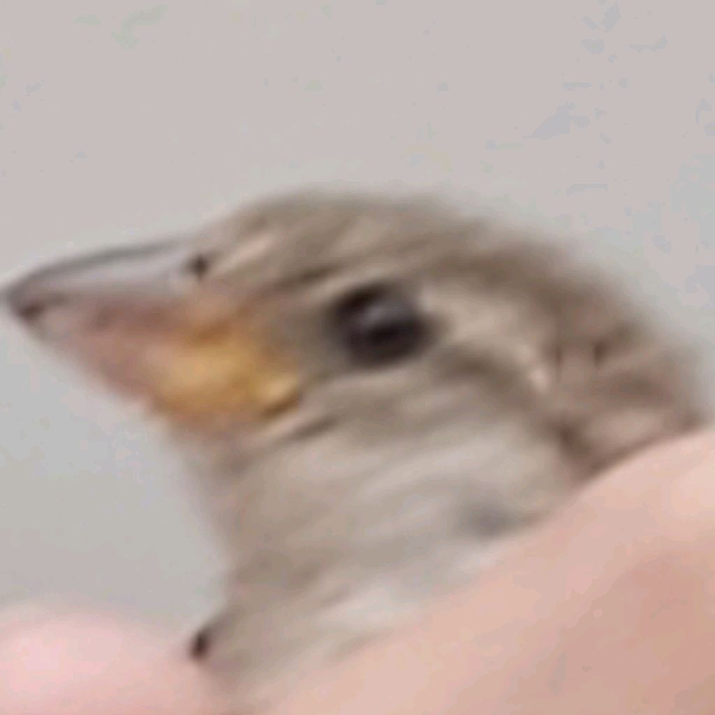 Иконка канала Денис воробей