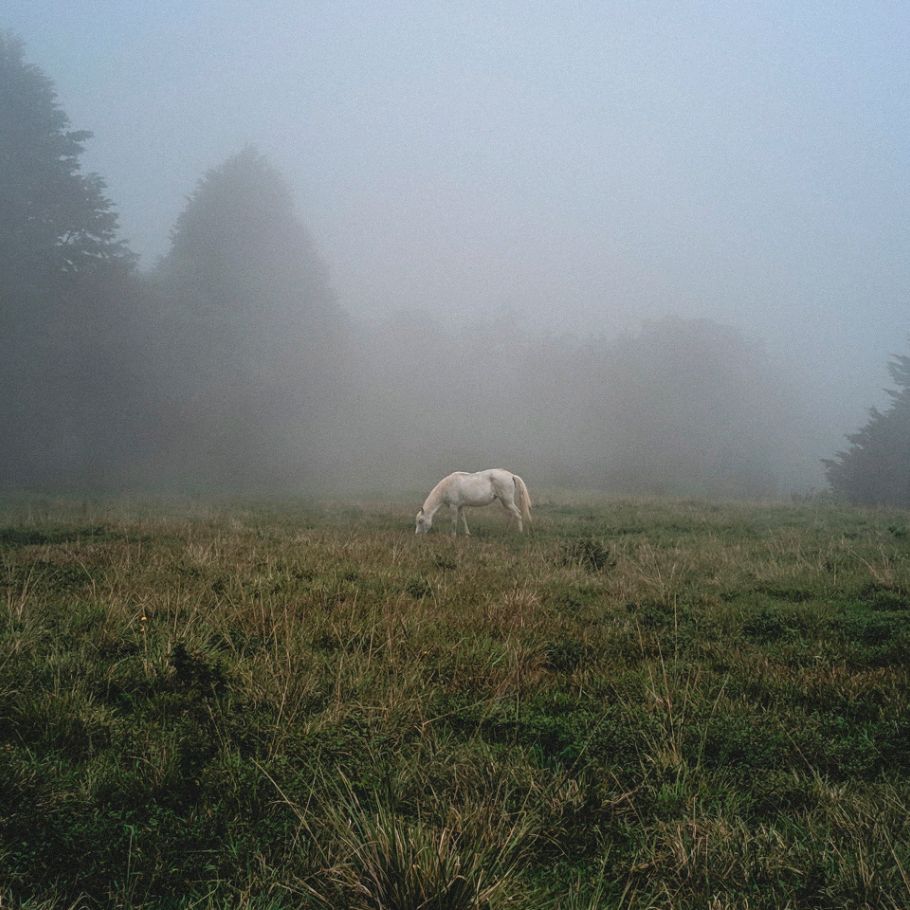 Иконка канала Можайский Олег ( Lubeist 79)