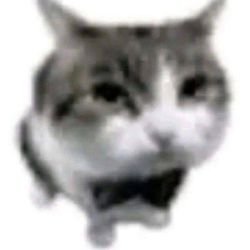 Иконка канала PeRzhu