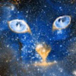 Иконка канала Kipperleader