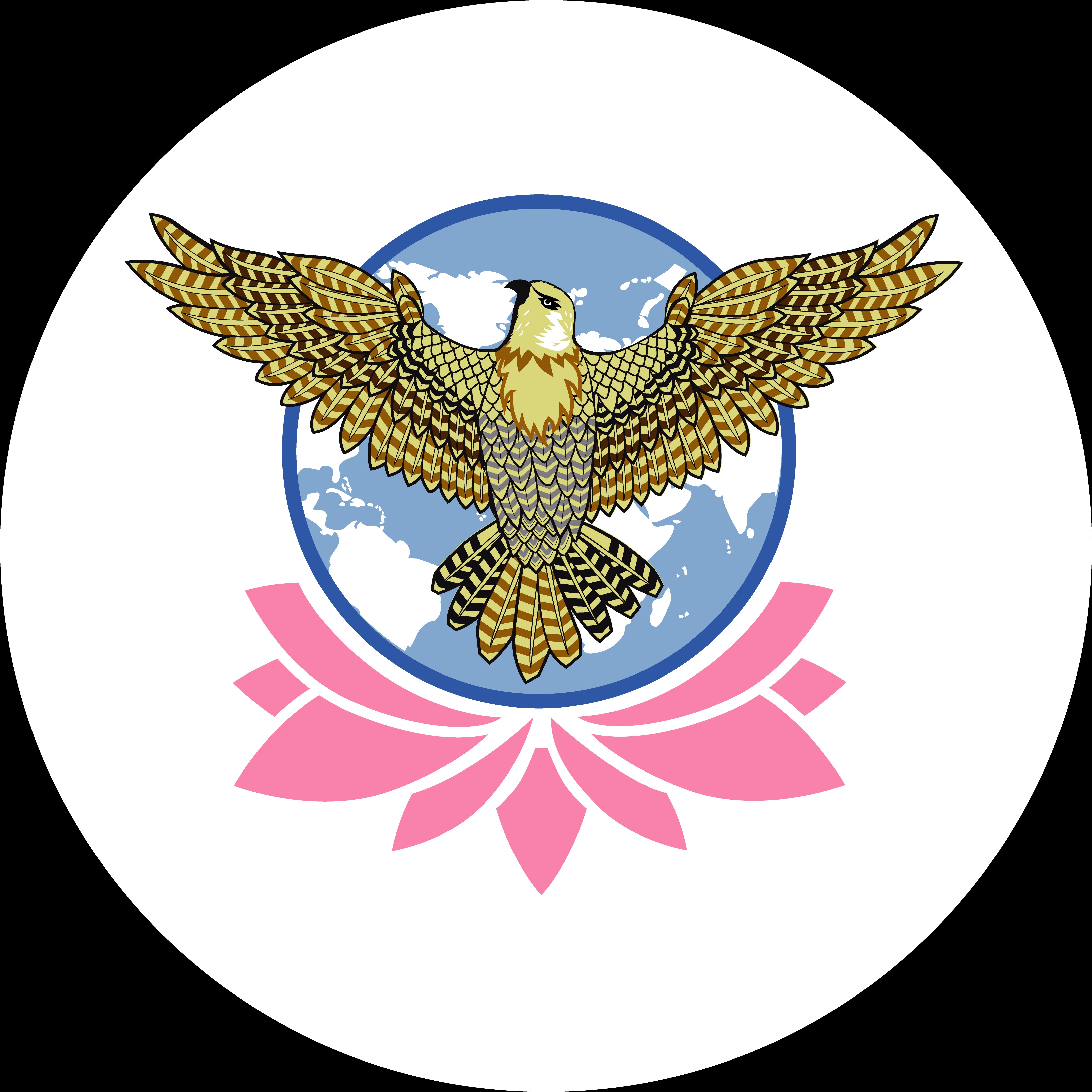 Иконка канала СОКОЛ