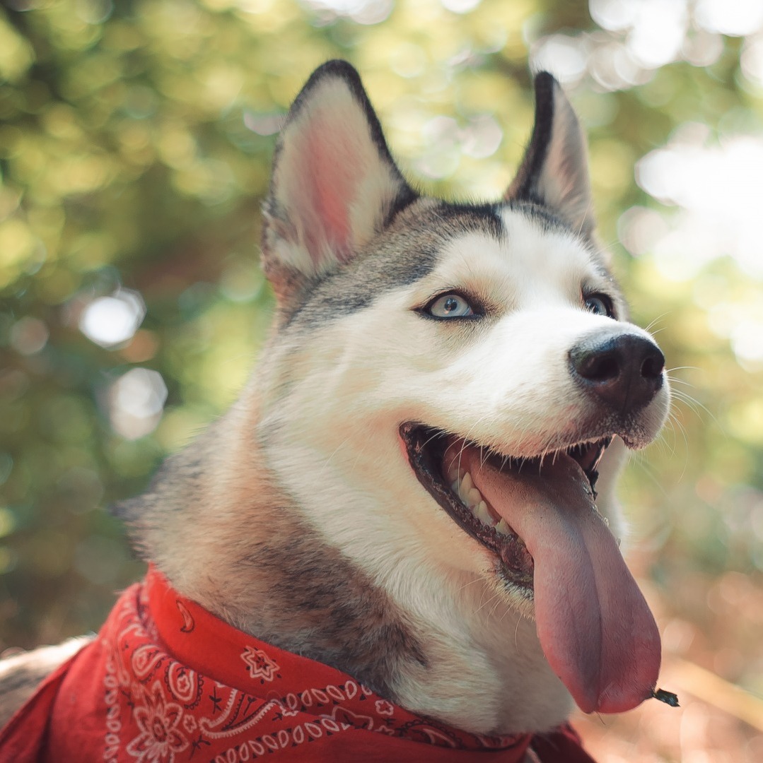 Иконка канала Владимир