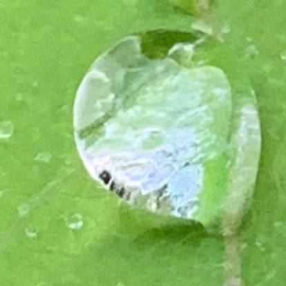 Иконка канала Детская школа искусств №1 Сургут