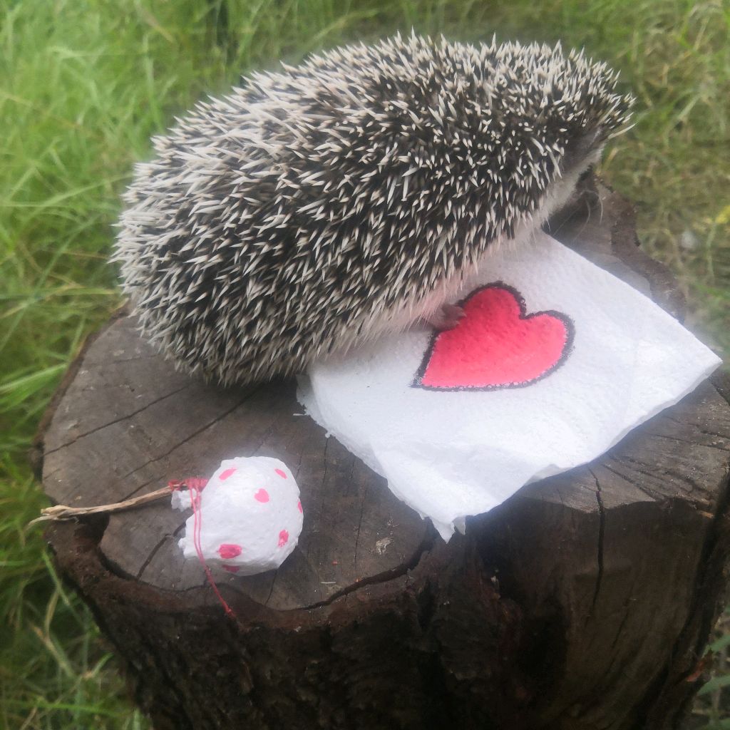 Иконка канала Fugas-prodachen