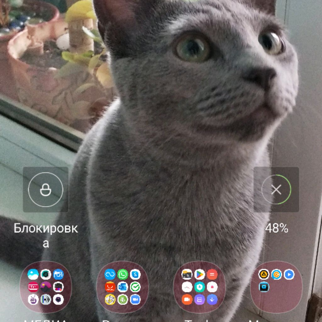 Иконка канала Il_Burbero