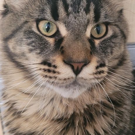 Иконка канала Александра