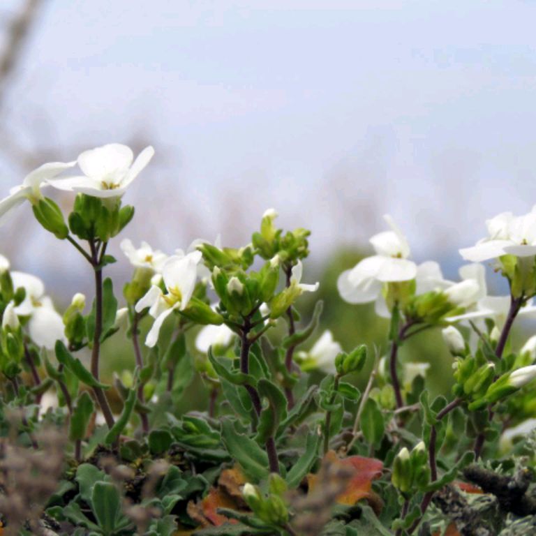 Иконка канала @Red_Beetle_2014