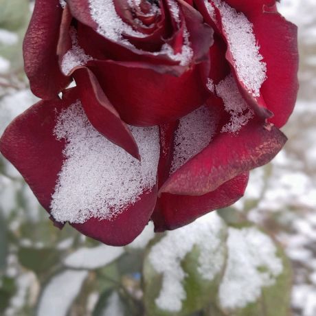 Иконка канала И.Т.Я.